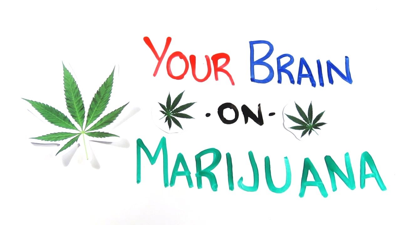 Your Brain on Drugs: Marijuana
