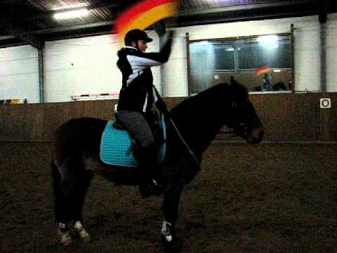 Das gelassenste Pony der Welt