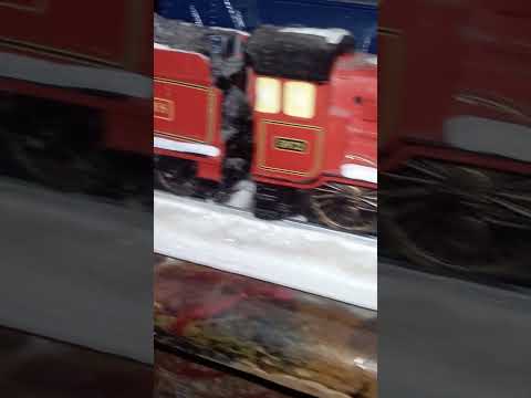 Hogwarts Express Steam Locomotive #5972 on Display Danville County Railroad Train Layout COOL!!!