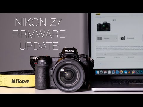 Nikon Z7: Firmware update (1591)