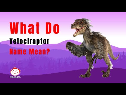 What Do Velociraptor Name Mean? #makeforkids #whatdodinosaurnamesmean