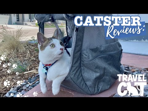TravelĀ Cat's āThe Navigatorā Cat Backpack Review 2024