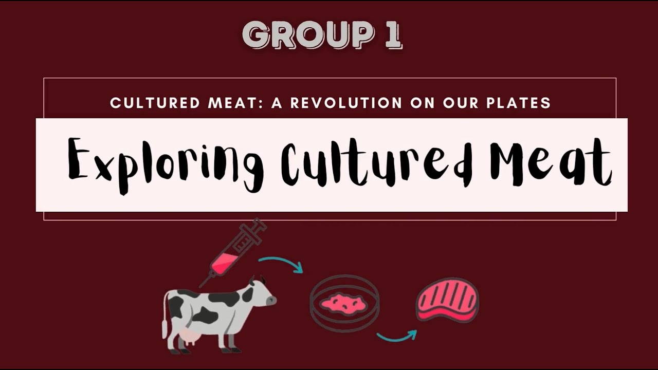 SBS4113 - VIDEO PROJECT ON CULTURED MEAT (GROUP 1)