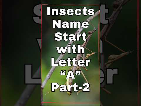 ๐Insects name start with letter โAโ_Part-2 #insects #insectsnames #vocabularybuilding #shorts #short