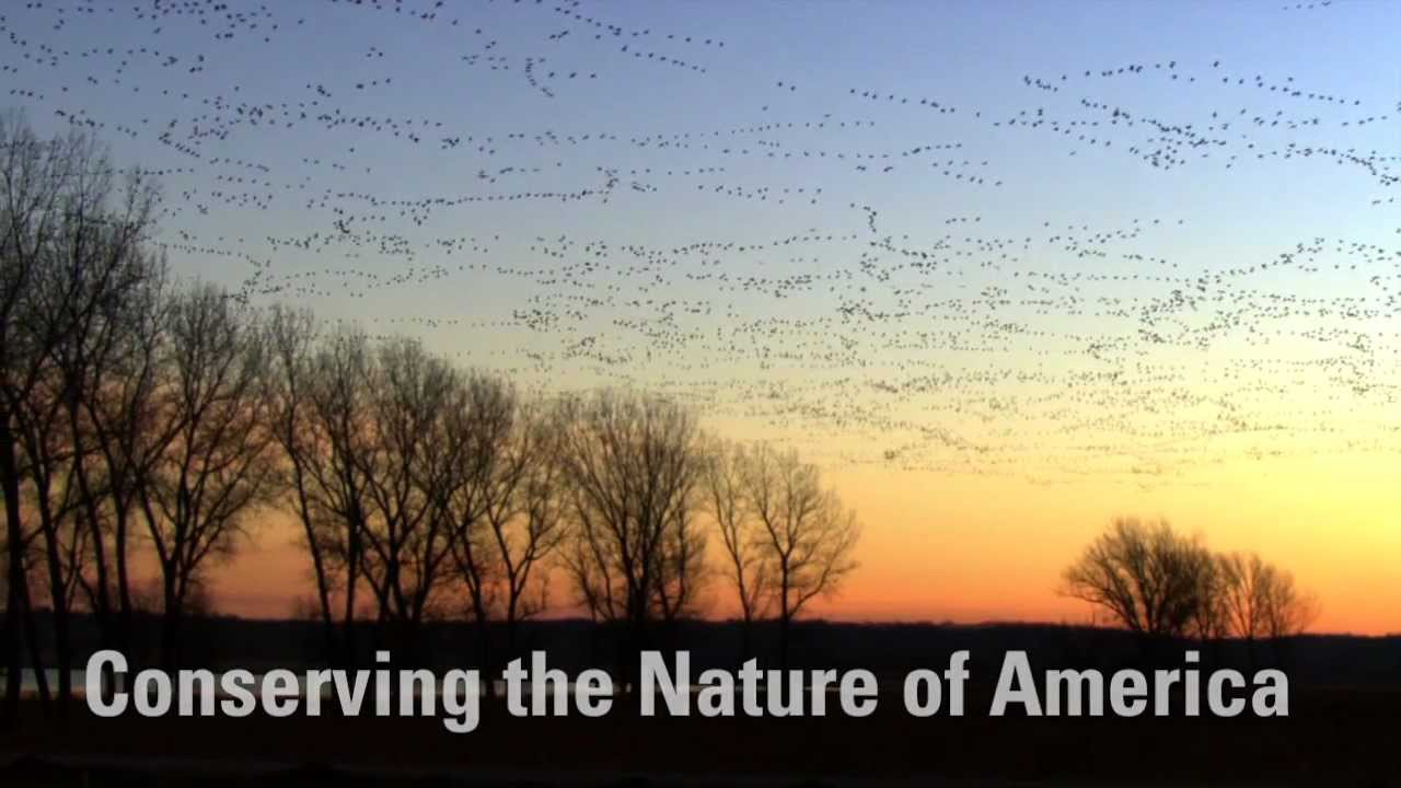 This is the U.S. Fish & Wildlife Service