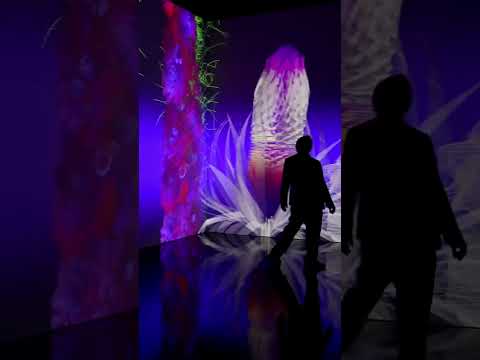 Miguel Chevalier | Extra-natural 2023 | Kunsthalle Munich