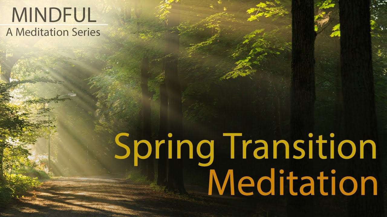 Mindful: A Meditation Series (Short Guided Spring Meditation)
