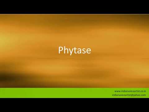Pronunciation of the word(s) "Phytase".