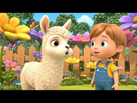 The Shy Baby Llama Peeked from the Fence | Funny Toddler Song | Kids ...
