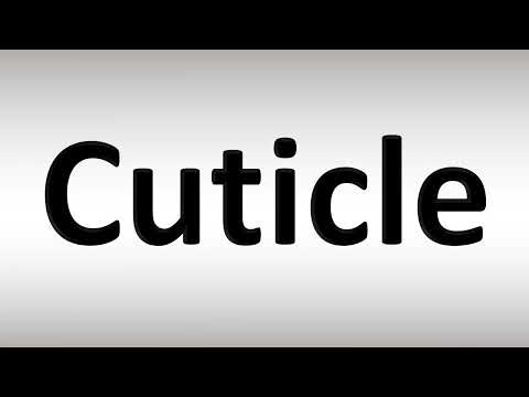 How to Pronounce 'Cuticle' Correctly