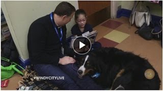 Sit Stay Read! Inc. - GuideStar Profile