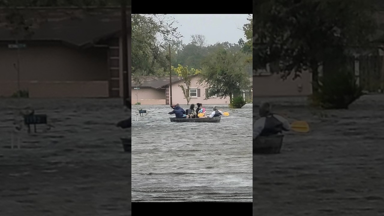 Continue reading and sign this petition on Change.org:  https://chng.it/yT7vDhLrSv