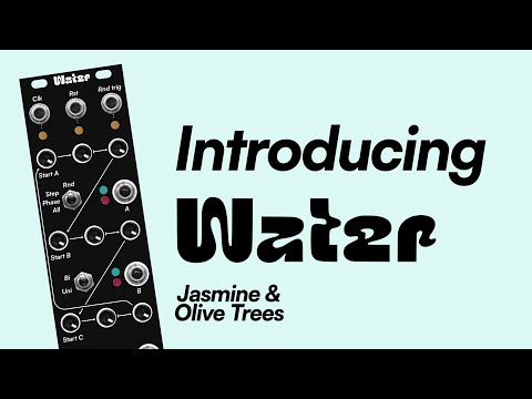 Jasmine & Olive Trees Water (Sequencer) 2023 | Reverb
