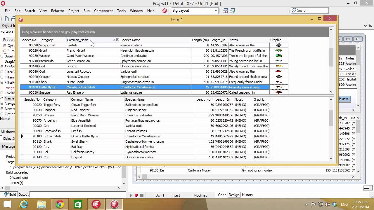Delphi Tutorial #106 - Express Quantum Grid - First Impressions