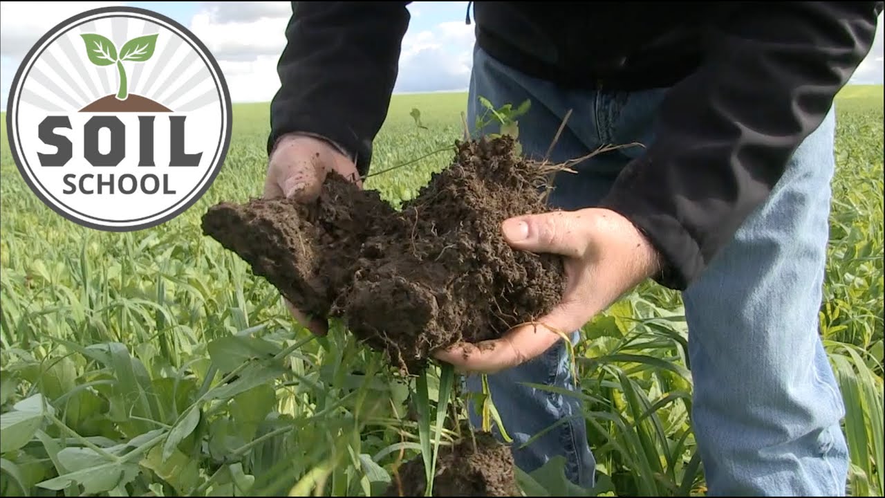 Soil School: What makes a healthy soil?