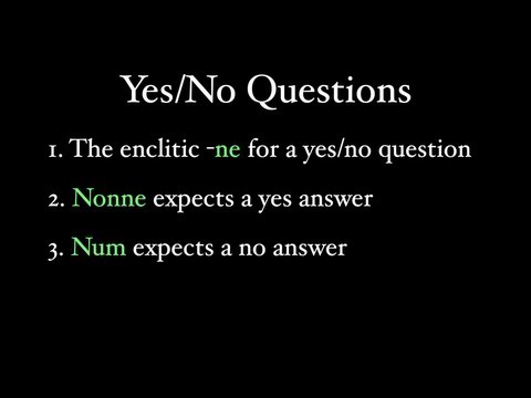 Yes and No Questions in Latin