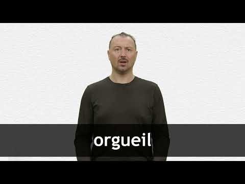 English Translation of “ORGUEIL” | Collins French-English Dictionary