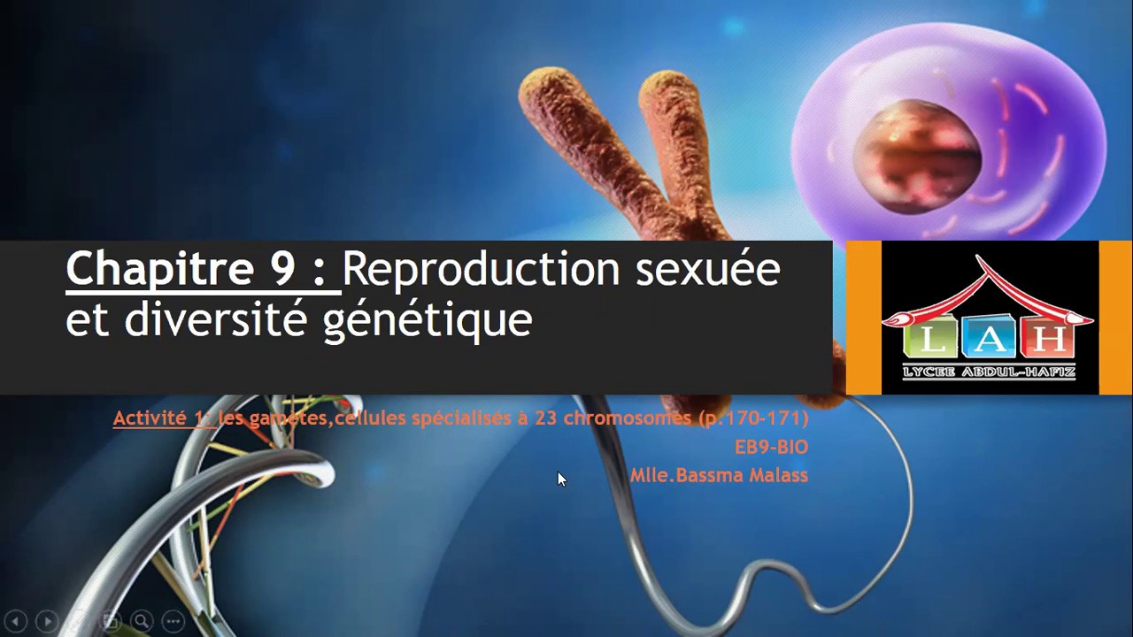 Eb9 bio la meiose part 1