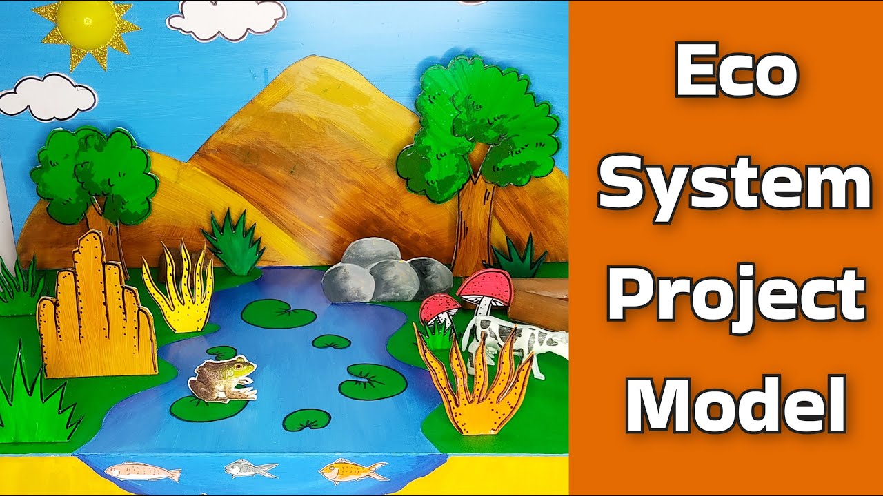 Ecosystem Model for School project  | Evs project model