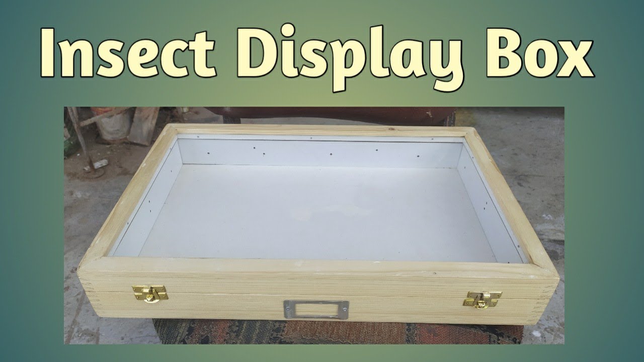 Insect Display Box - Insect Box - Entomology equipments- Entomology box - Insect display and storage