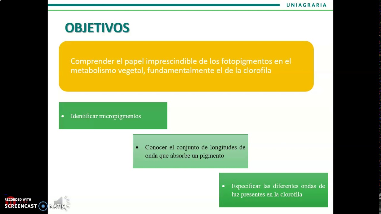 Informe prácticas de laboratorios virtuales