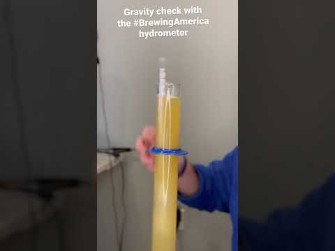 Gravity Check!
