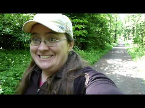 Wandern durch den Sihlwald (Zürich, Schweiz) #wandern #wald