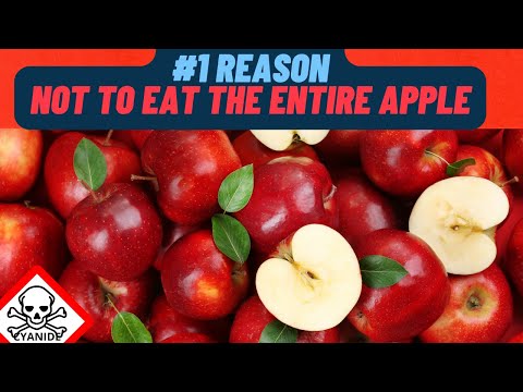 How many Apple Seeds Will Kill You?