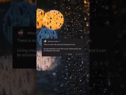 What is the meaning of life? #redditstories #askreddit #reddit #shorts