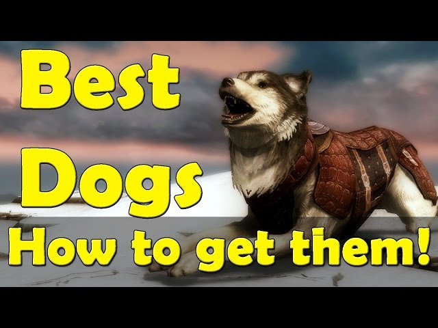 Top 5 Pets in The Elder Scrolls Skyrim