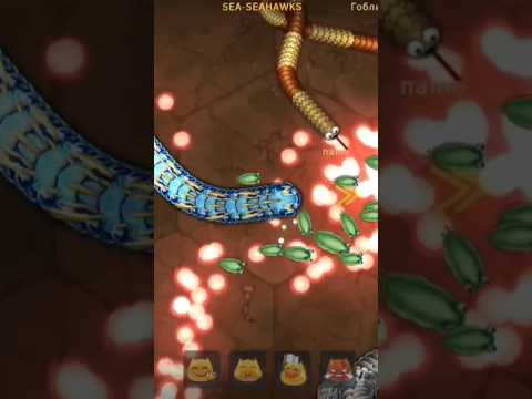 #littlebigsnake