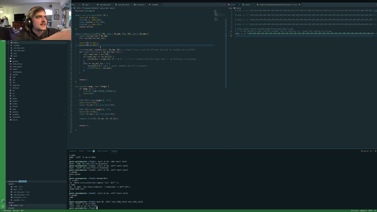 525 final demo -- buffer overflow shellcode injection