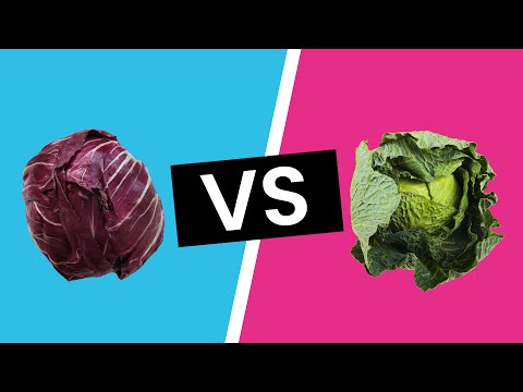 Red Cabbage vs. Green Cabbage - What’s the Difference?