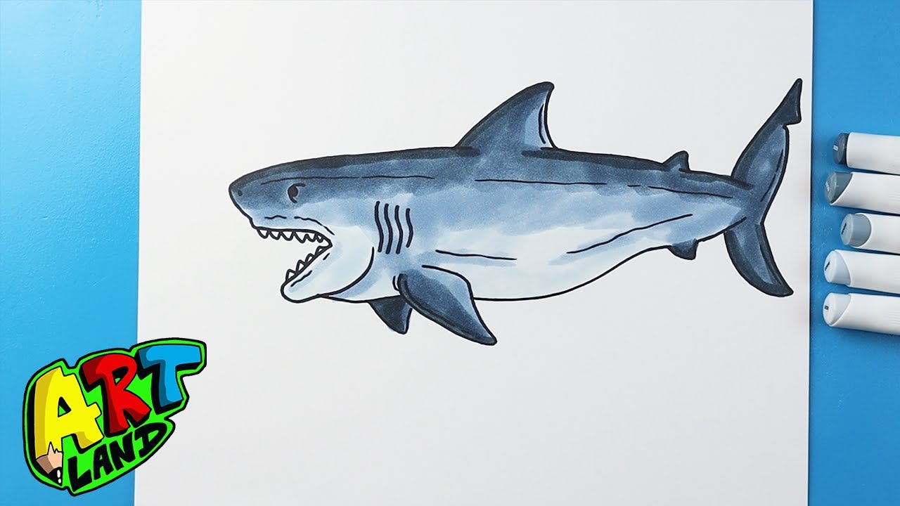 How to Draw a Bull Shark 🦈