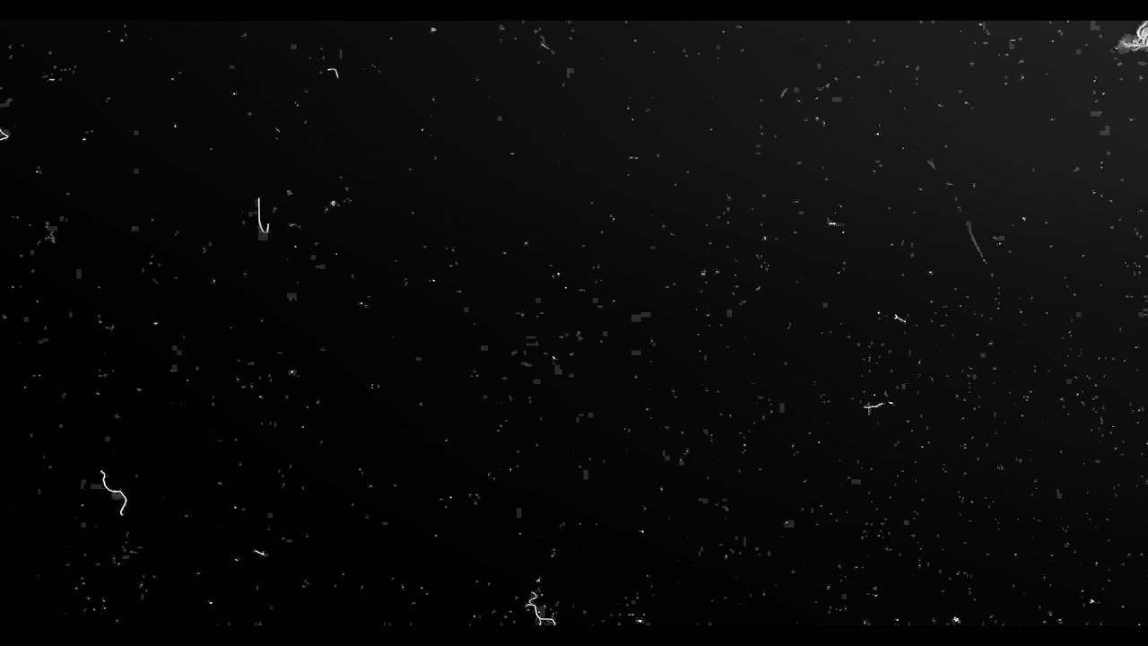 Dust grunge overlay video effect pulse free download