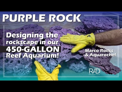 DESIGNING THE ROCKSCAPE WITH OUR NEW PURPLE ROCK IN OUR 450-GALLON REEF AQUARIUM. PART 8.