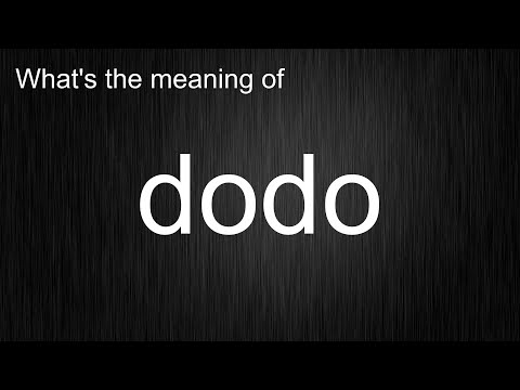 What's the meaning of "dodo", How to pronounce dodo?