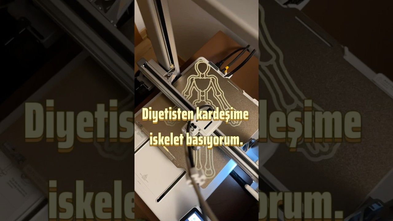 3D Flexi Skeleton Model Bambu Lab A1