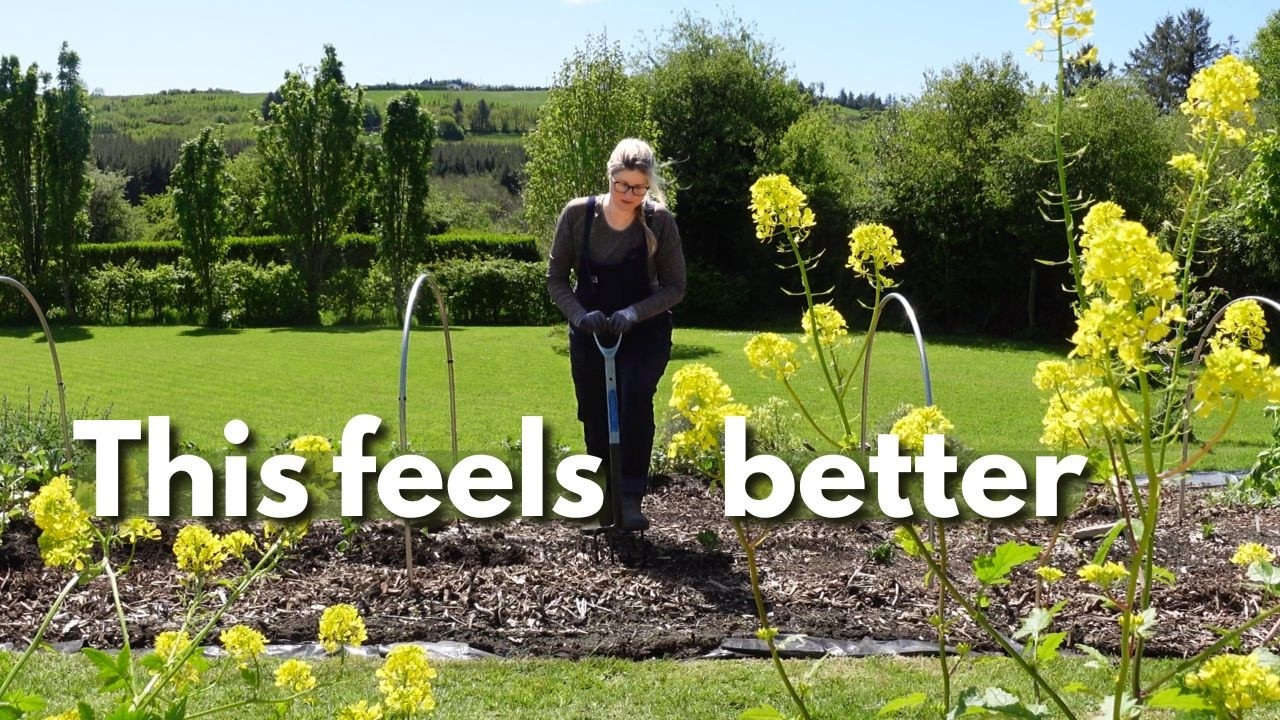 Finally Getting This Space Sorted | Spring Gardening in Ireland