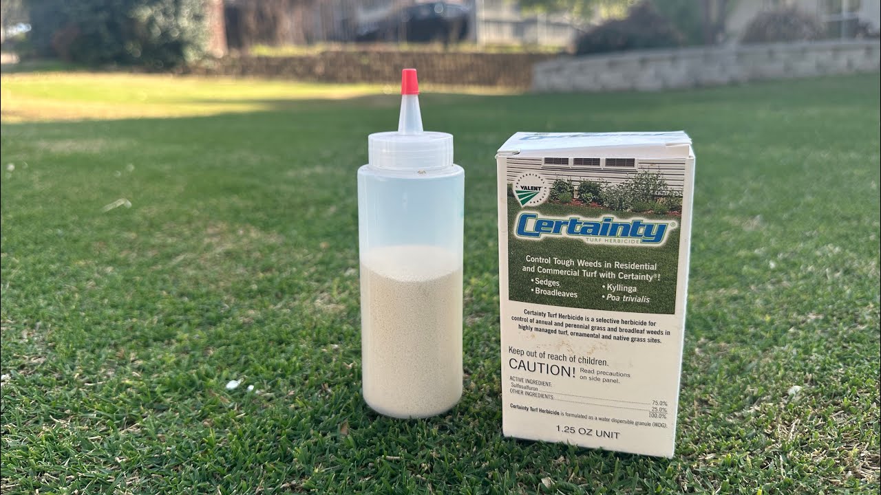 Kill 99.9% of Weeds in Bermuda Grass - Weed-Free In 2 Weeks (Bermuda Triangle Method)