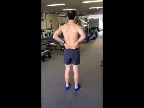 The Magical “Multifidus” Muscle | lifecarepilates