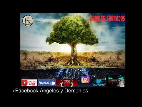 007 Taller Arboles Sagrados