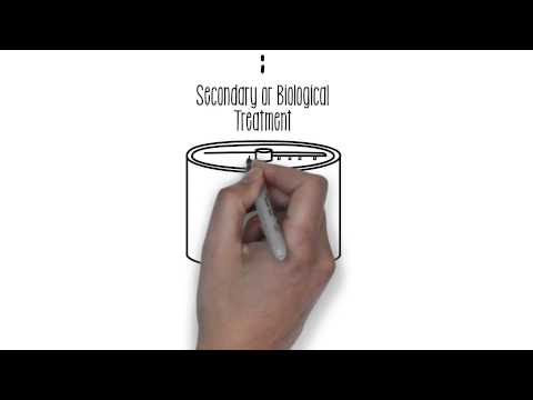 This is the Water Treatment Process | Sustainability