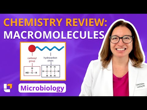 Macromolecules: Chemistry Review - Microbiology for Pre-Med / Nursing Students | @leveluprn