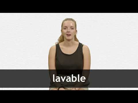 English Translation of “LAVABLE” | Collins French-English Dictionary
