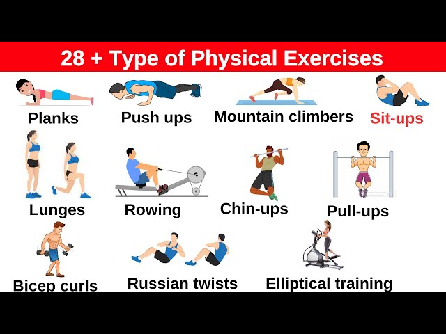 28 Essential Exercises for Daily Training: A Comprehensive Guide | Galaxy