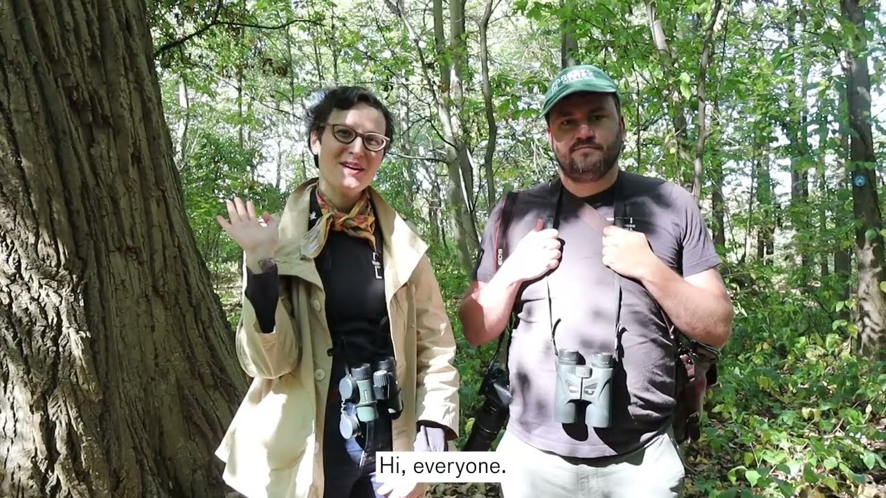 Birding with Sam & Emily: How to Spot and Identify Birds