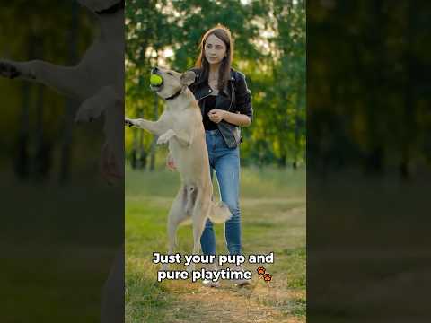 Private Dog Parks Without the Chaos? Try This App!