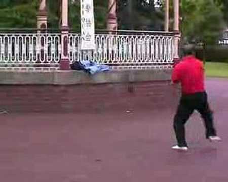Xing Yi Demo by Master Tary Yip,