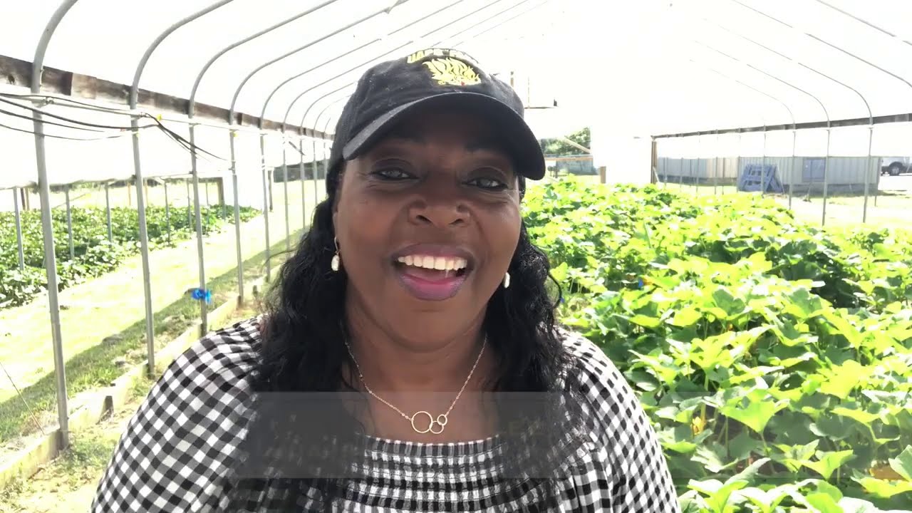 Using the SoilWeb Application